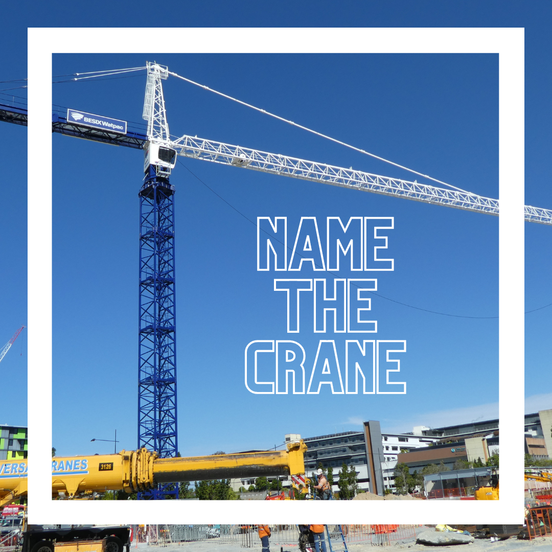 Name the Crane Competition - GC Hospital Foundation